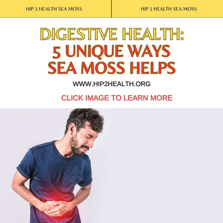 Digestive Health: 5 Unique Ways Sea Moss Helps – Hip 2 Health